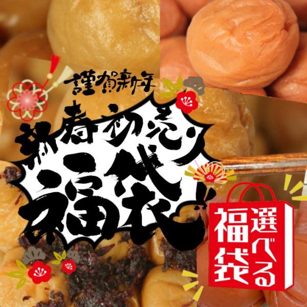 【発売日：2025年01月01日】原産国／製造国 日本総個数 3総重量 1200g健康志向 減塩・無塩産地（都道府県） 和歌山