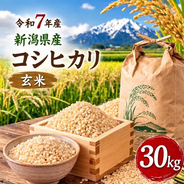 ★家計応援セール★※少人数で出荷作業を行なっており、大量のご注文をいただいた場合一時的に在庫切れとさせていただいております。令和７年新潟県産のコシヒカリです。数量限定の特別価格にてお届けいたします。この機会にぜひご賞味ください！【産　年】令...