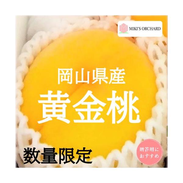 【生産者】岡山県赤磐市MIKI'S ORCHARD（岩川美紀さん・菜摘未さん）【発送時期】9月上旬〜９月下旬※日付指定不可※生育状況や天候により発送時期が前後することがあります【品種】黄金桃※玉数指定不可