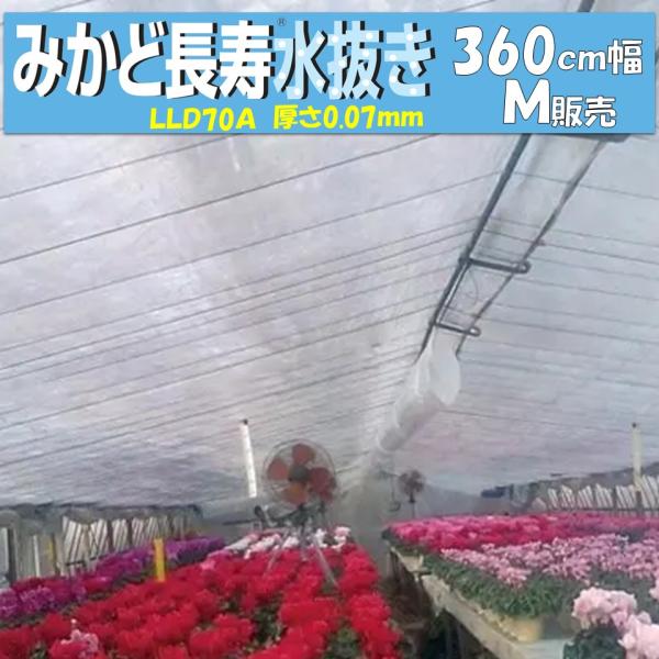 みかど長寿水抜き・内張りカーテン用・透明タイプ・流滴処理（練込品）・軽くて、ベタツキがなく、群を抜く耐久性【特徴】孔開け加工に様々なノウハウを持つみかど化工だから出来る美麗な水抜き孔加工で、フィルム上面に水が溜まる「金魚鉢現象」を防ぎます。...