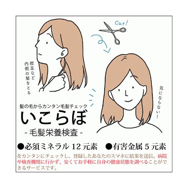 ●いこらぼ毛髪栄養検査キット毛髪で調べるミネラル検査キット 必須ミネラル12元素 有害金属5元素 毛髪を送るだけ 簡易検査キット 送料無料体の不調を調べる ミネラル不足 有害金属【配送方法】送料無料 ヤマト／ＤＭ便での配送となります。日時指...