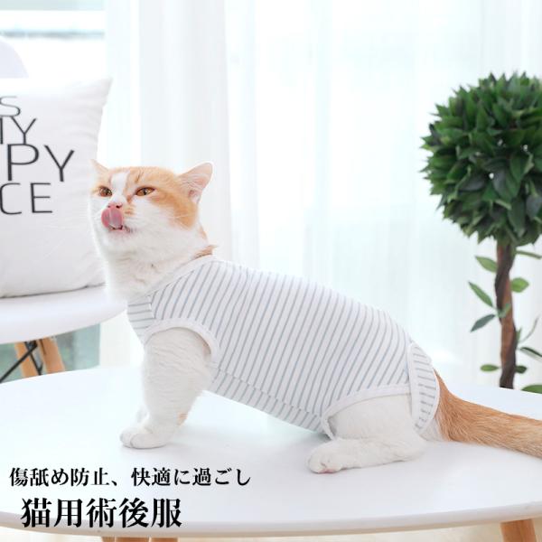 商品内容 ペット用術後服素材 コットン100％サイズ（cm） S：首周り20cm バスト33cm 背丈19cmM：首周り24cm バスト38cm 背丈24cmL：首周り28cm バスト43cm 背丈29cmXL：首周り32cm バスト48c...