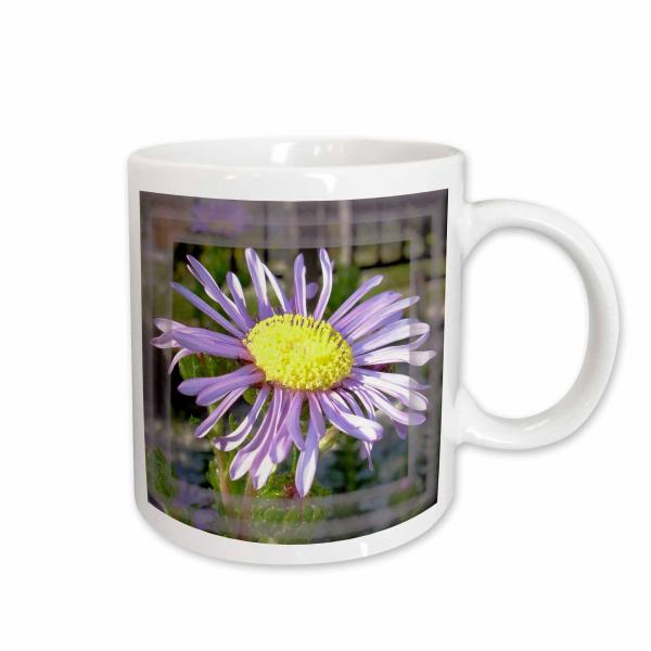 商品名:  3dRose Ice Plant - aizoaceae, carpet weeds, ficoidaceae, flower, flowers, ice plant, marigold 11oz Mugブランド: 3dRose...