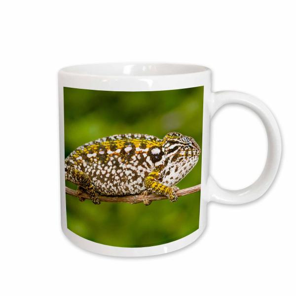 商品名:  3dRose Carpet chameleon, Chamaeleo lateralis, in eastern Madagascar. 11oz Mugブランド: 3dRose商品サイズ: 11 Ounces重量: 408g商...