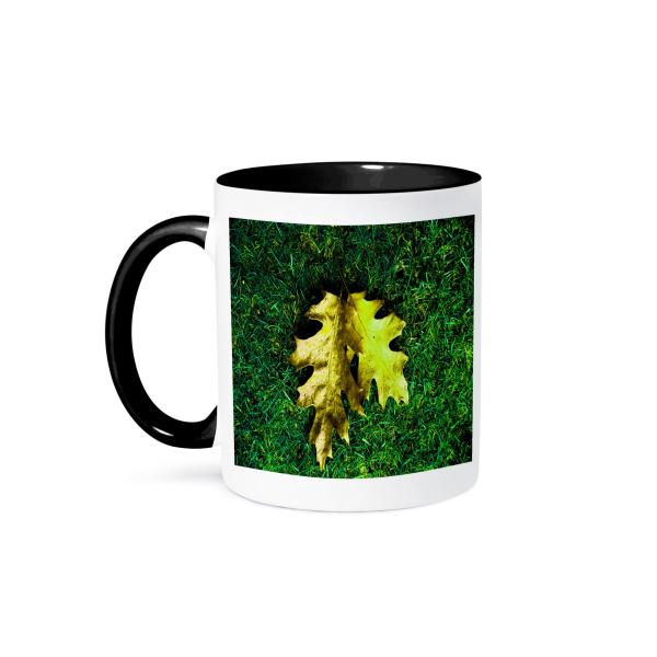 商品名:  3dRose Gold and Green Leaf Carpet 11oz Two-Tone Black Mugブランド: 3dRose商品サイズ: 11 Ounces重量: 408g商品番号: mug_36968_4色: B...