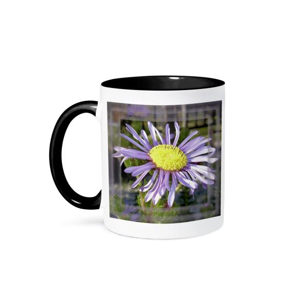 商品名:  3dRose Ice Plant - aizoaceae, carpet weeds, ficoidaceae, flower, flowers, ice plant, marigold 11oz Two-Tone Black ...