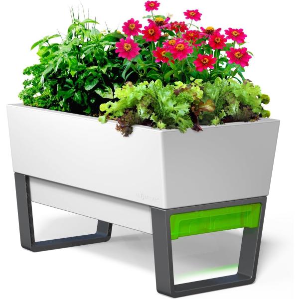 商品名: Glowpear 自動給水 Urban Garden プランター Glowpear Self Watering Planter Box - 29.5", White - UV Stable, Scalable Urban Rais...