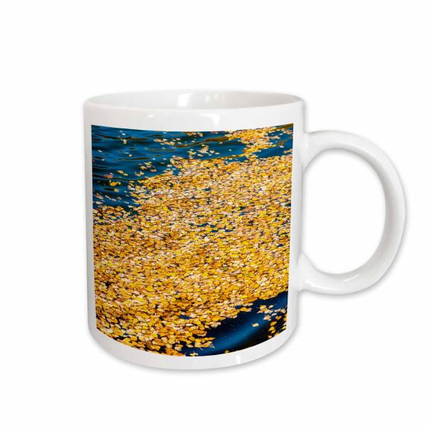 商品名:  3dRose Dark blue water covered with a golden carpet of birch tree leaves 11oz Mugブランド: 3dRose商品サイズ: 11 Ounces重量: 4...