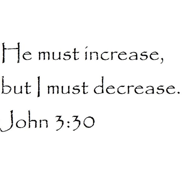 商品名:  Tapestry Of Truth - John 3:30 - TOT14605 - Wall and Home Scripture, Lettering, Quotes, Images, Stickers, Decals, A...