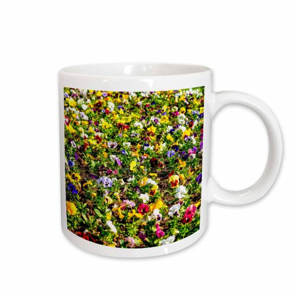 商品名:  3dRose Colorful carpet of pansy flowers of yellow, white, blue, red color 11oz Mugブランド: 3dRose商品サイズ: 11 Ounces重量: ...