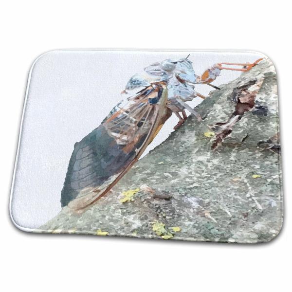 商品名:  3dRose Taiche - Vector - Cicada - Cicada Vector - Bathroom Bath Rug Mats (rug-264504-1)ブランド: 3dRose商品番号: 素材: Polye...
