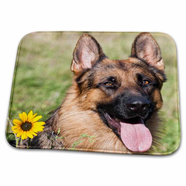 商品名:  3dRose - Portrait of German Shepherd Dog - US32 ZMU0080 - Zandria Muench Beraldo - Bathroom Bath Rug Mat - (rug-14...