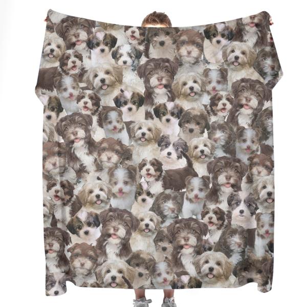 商品名:  Havanese Dog Blanket for Dog Mom, Dog Dad, Friends, Dogs Lover, Havanese's Lovers - Super Soft Warm Fleece Throws ...