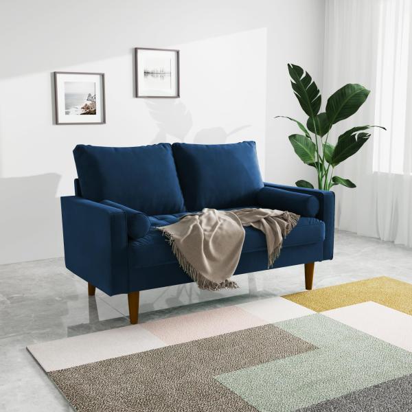 商品名:  Meeyar Modern Sofa,58 Inch Velvet Couch for Living Room,Spring Cushions,Easy Assembly Modern Couches with Throw Pi...