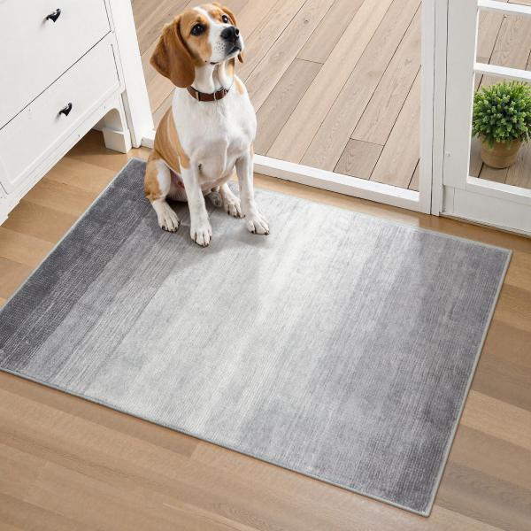商品名:  Wonnitar Modern Ombre Small 2x3 Entryway Rug, Washable Grey Front Door Mat, Non-Slip Contemporary Kitchen Accent M...