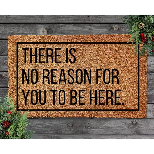商品名:  There is No Reason for You to Be Here Doormat, 16x24 Inch Funny Doormat Bathroom Home Decor Absorbent Non-Slip Flo...