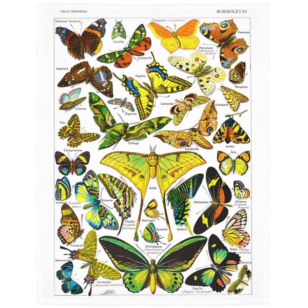 商品名: SXCHEN ソフトスローブランケット フラシ天 快適 暖かい 軽量 ふわふわブランケット カウチ/ソファ/ベッド用 クラシックな蝶 蛾 種 入門 庭師や昆虫学者へのギフトに 60インチ x 80インチ SXCHEN Butter...