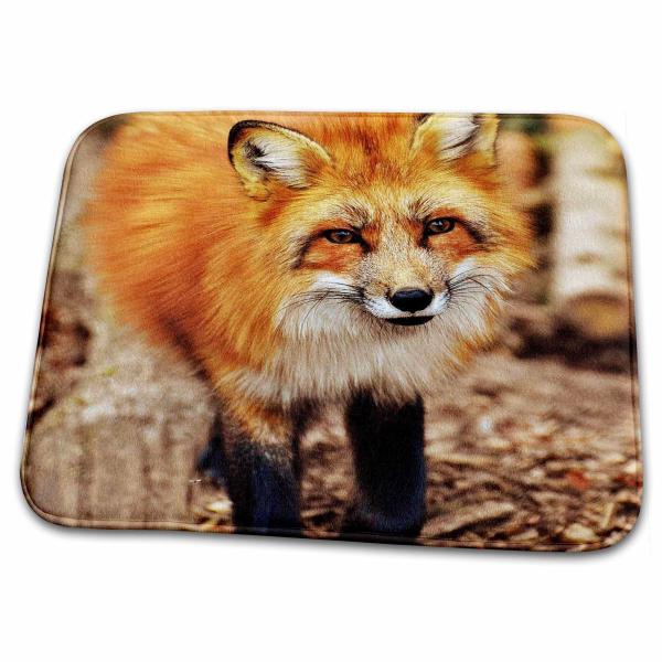 商品名:  3dRose Bathroom Bath Rug Mat - Red Fox. Wild Animalsブランド: 3dRose商品サイズ: 1'6" x 1'11" (Rectangular)重量: 454g商品番号: 色: ...