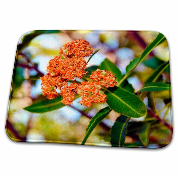 商品名:  3dRose Bathroom Bath Rug Mat - A Beautiful Tree in Spring That is Budding Out in Orange Blossoms Flowering Treeブラン...
