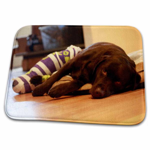 商品名:  3dRose Sad Puppy Chocolate Lab Retriever Get Well Soon... - Bathroom Bath Rug Mats (rug-322727-1)ブランド: 3dRose商品サイズ...