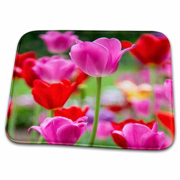 商品名:  3dRose Bathroom Bath Rug Mat - Pink and red Tulips, Wheaton, Illinois. Tulipブランド: 3dRose商品サイズ: 1'6" x 1'11" (Recta...
