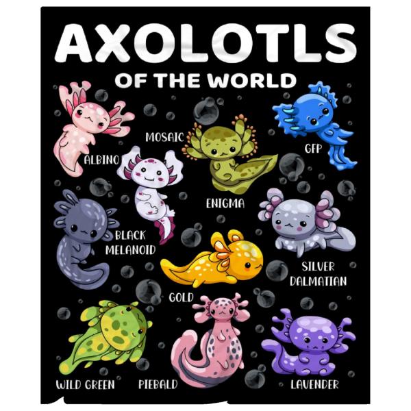 商品名:  Axolotl Gifts for Boys Girls Teens Axolotl Lovers - Cute Axolotls of The World Plush Blanket - Super Soft Warm Fuz...