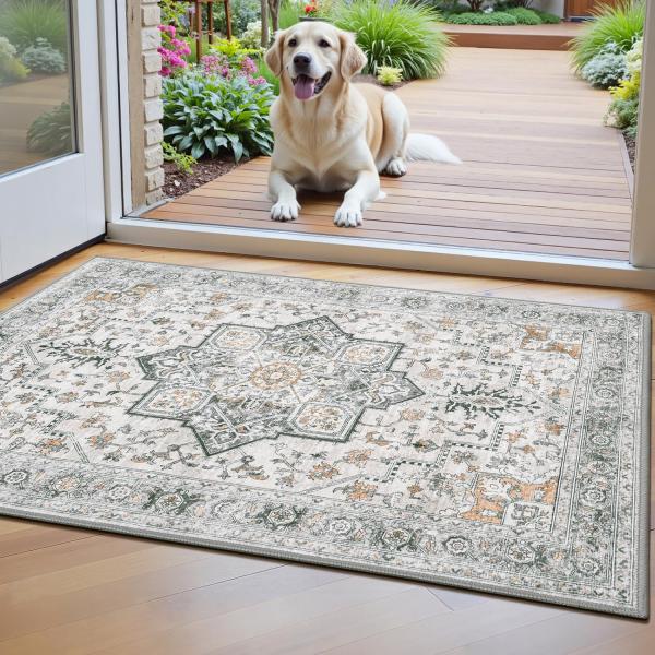 商品名:  Lessymo Washable 2×3 Small Area Rugs for Entryway Bathroom, Soft Kitchen Rug Non-Slip Carpet Indoor Door Mat for F...