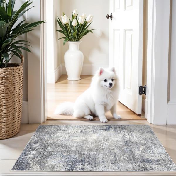 商品名:  2x3 Washable Non-Slip Rug ? Modern Abstract Neutral Small Throw Area Rug for Kitchen, Entryway, Bedroom ? Soft Low...