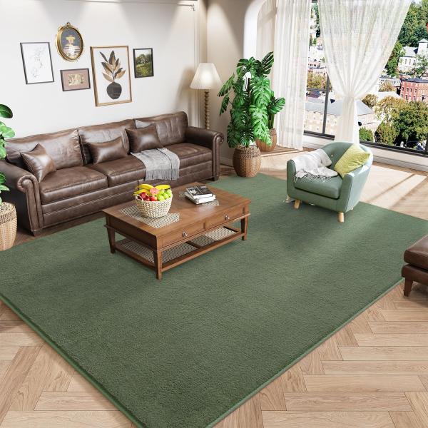商品名:  Amearea Modern Area Rugs for Bedroom Living Room, 4x6 Feet Sage Green Thickened Memory Foam Rug, Fluffy Indoor Was...