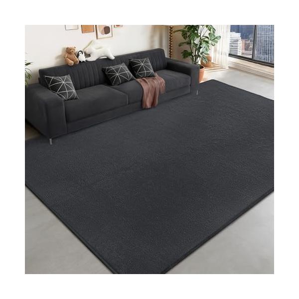 商品名:  QDUIDU Large Area Rugs for Bedroom Living Room - 4x6 Feet Ultra Soft Dark Grey Rug Thickened with Memory-Foam, Sol...