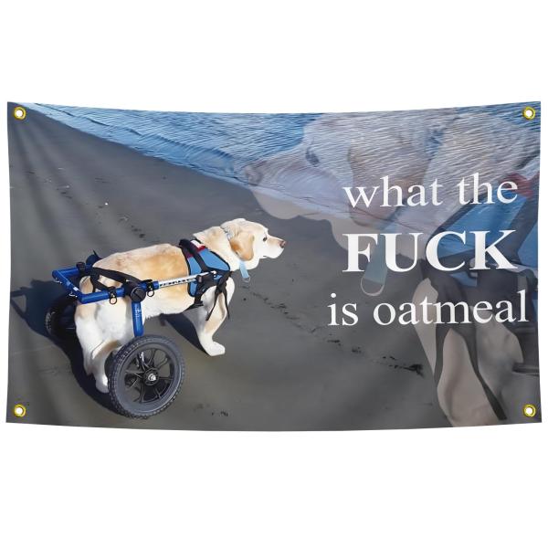 商品名: What the Oatmeal Meme ポスター 車椅子のドージ アット ビーチ - 面白い インスピレーション 3 x 5 フィート ウォールアートプリント - やる気を起こさせる&amp;ユーモラスな装飾 部屋 オフィス ...