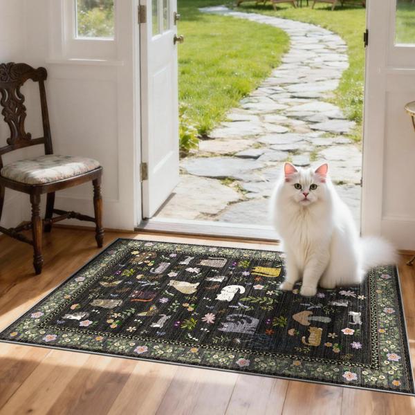商品名:  Small 2x3 Area Rugs for Entryway: Washable Kitchen Runner Rug Non Slip Soft Low Pile Animal Cat Carpet Rugs with R...
