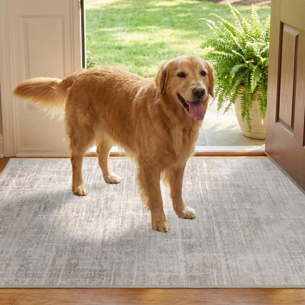 商品名:  2x3 Washable Area Rug for Entryway - Small Abstract Neutral Kitchen Rug with Anti-Skid Rubber Backing Soft Low Pil...