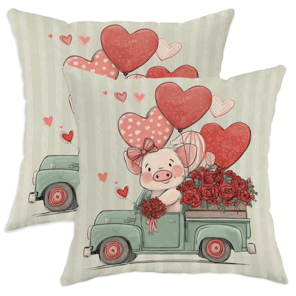 商品名:  Pigs Throw Pillow Covers Set of 2, Fanciful Playful Hearts Roses Valentine Peach with Hidden Zipper Cushion Covers...