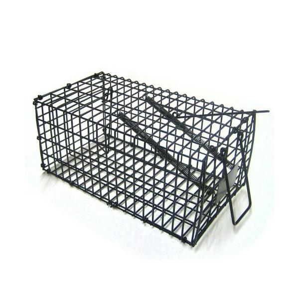 商品のパッケージは予告なく変更する場合がございます。※セットの際にはエサが必要となります。■サイズ（約）Ｗ１３５×Ｈ１０７×Ｄ２７０ｍｍ　