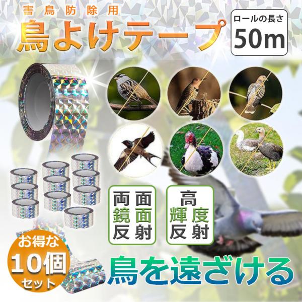 爆買【害鳥対策グッズ】：光の角度によってキラキラと七色に反射するホログラムテープです。鳥は太陽の光が反射するのを嫌がる傾向があるため、鳥を殺さずに寄せ付けないよう、環境にやさしい鳥対策ができます。鳩、カラス、つばめ、スズメなど、色々な鳥にア...