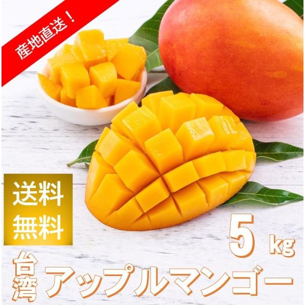 【発売日：2026年05月17日】[商品規格]品名:台湾産フレッシュマンゴー品種:愛文(アーウィン)種入り数: 10-16玉内容量: 5kg[商品紹介]輸入専門商社独自ルートでの仕入れにより、産地直送フレッシュ&amp;安心品質でのお届けが...