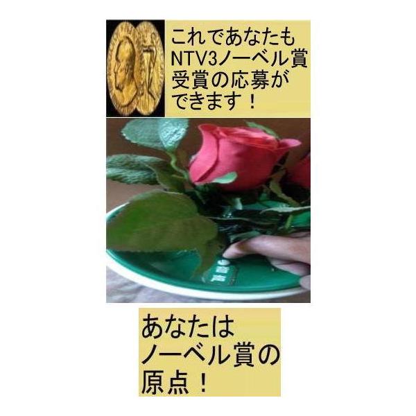 (1)花の型番：SCH34-15919　サイズ : 外寸(上部)φ19cm(下部)φ13cm 内寸(上部)φ17cm(下部)φ12.8cm　全体の高さ 33.5cm　重さ : 600g(2)実行書クリアカード サイズ : B5　(3)NTV...