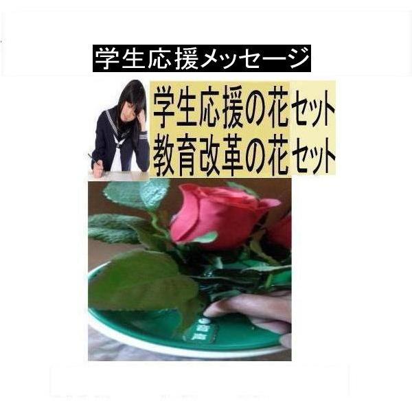 (1)花の型番：SCH-1593　サイズ : 外寸(上部)φ19cm(下部)φ13cm 内寸(上部)φ17cm(下部)φ12.8cm　全体の高さ 33.5cm　重さ : 600g(2)実行書クリアカード サイズ : B5　(3)NTV3日記...