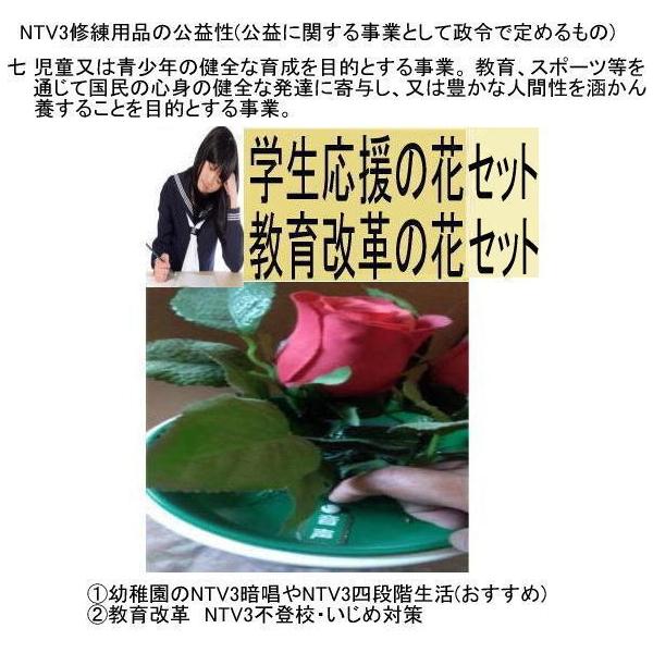 (1)花の型番：SCH33-1591　サイズ : 外寸(上部)φ19cm(下部)φ13cm 内寸(上部)φ17cm(下部)φ12.8cm　全体の高さ 33.5cm　重さ : 600g(2)実行書クリアカード サイズ : B5　(3)NTV3...