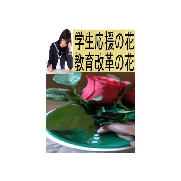 (1)花の型番：SCH33-1591　サイズ : 外寸(上部)φ19cm(下部)φ13cm 内寸(上部)φ17cm(下部)φ12.8cm　全体の高さ 33.5cm　重さ : 600g(2)実行書クリアカード サイズ : B5　(3)NTV3...