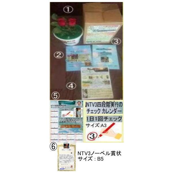 画像へ↑