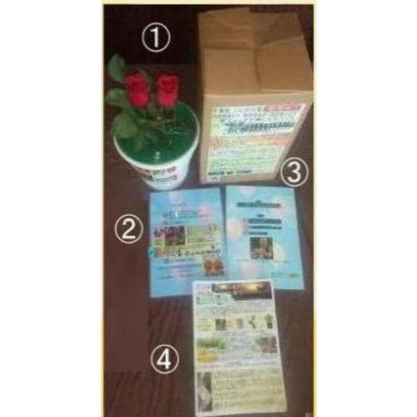 (1)花の型番：SCH37-1591　サイズ : 外寸(上部)φ19cm(下部)φ13cm 内寸(上部)φ17cm(下部)φ12.8cm　全体の高さ 33.5cm　重さ : 600g(2)実行書クリアカード サイズ : B5　(3)NTV3...