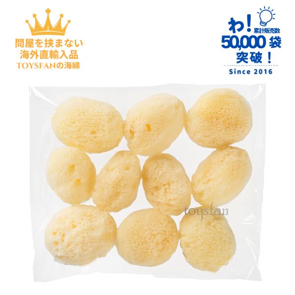 【商品スペック】内容量：10個入り素材：天然海綿 太平洋産（シルク種）直径（最大部分）：約5cm（天然物ですので入荷時期によって異なります）【用途】メイクアップ 汚れ取り サニタリー 風呂 バスタイム 洗顔 メイク 化粧 化粧落とし コスメ...