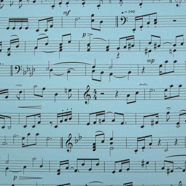 生地は50cm単位での販売になります。ゆうパケット便(メール便)での発送は2.5m(購入数５)まで。商品コード：013-17-cs1083五線譜 メルマガ商品／オックス生地生地幅110cm／綿100％オックス生地※メーカー協賛商品の為、通常...