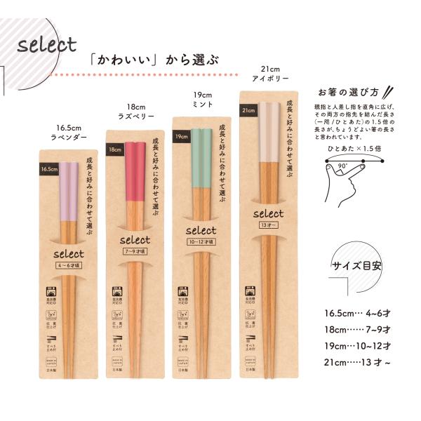 えんぴつと同じ六角形で持ちやすくすべり止め付きで、つまみやすくなっています。ご年齢に応じて、全4種類での展開になっています。日本製、抗菌仕上げの為安心安全。食洗器にも対応しています。寸法16.5cm ラベンダー（4才〜6才頃）18cm ラズ...