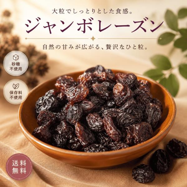 ジャンボレーズン レーズン 干しぶどう チリ産 大粒 大容量 業務用 ドライフルーツ おやつ おつまみ スイーツ ヨーグルト トッピング シリアル グラノーラ お菓子作り パン作り 製菓材【商品名】ジャンボレーズン【原材料名】レーズン、植物...