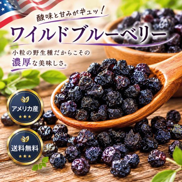 ワイルドブルーベリー ブルーベリー 野生種 アントシアニン ドライフルーツ 1kg 大容量 業務用 アメリカ産 おやつ おつまみ スイーツ ヨーグルト トッピング シリアル グラノーラ お菓子作り パン作り 製菓材料【商品名】ワイルドブルー...