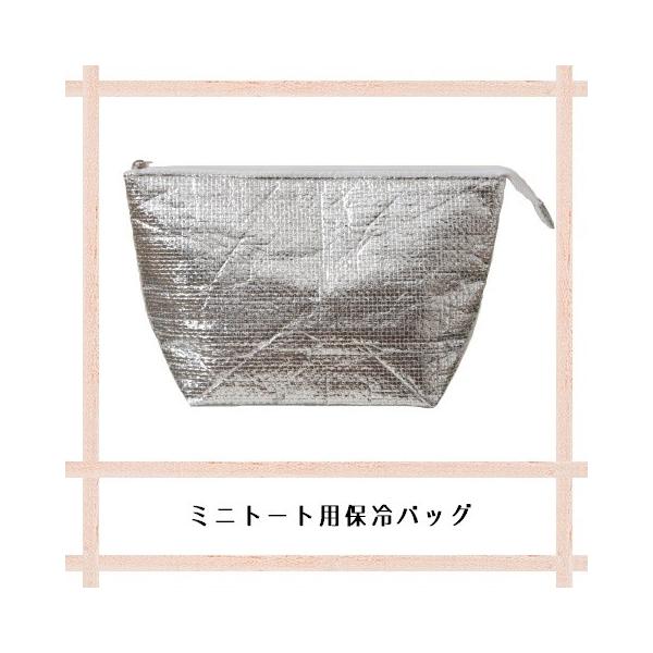 当店で販売中のミニトートやボアバッグを保冷バッグにしませんか。これからの季節にかわいいねこさんデザインのバッグで楽しいランチタイムを。※ミニトートバッグ・ボアバッグは別売りです。■適合Ａ（画像をご確認ください）　幅：バッチリ　高さ：バッチリ...