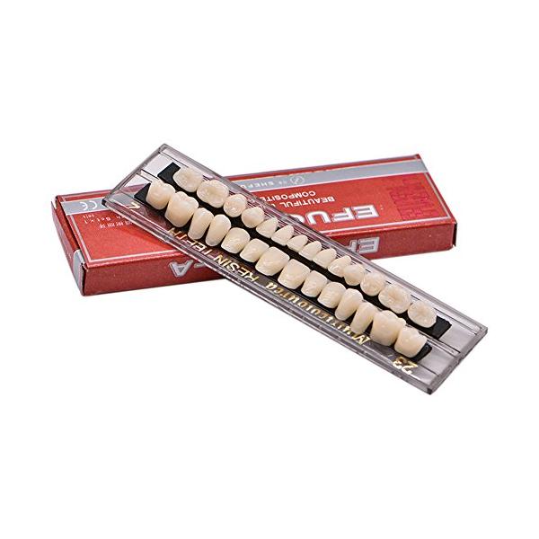 ・A2 28個アソート ・・Color:A2・100%新しい品質と優れた品質。・   28本の歯のセット。・   使いやすい歯科修復製品。・   材質：アクリル樹脂。・   用途：歯の損失や口腔の使用、義歯に使用されます。 ハロウィンホラー...